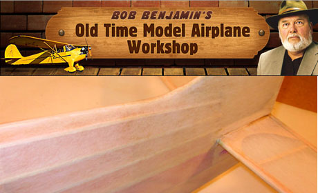 Covering The TigerKitten