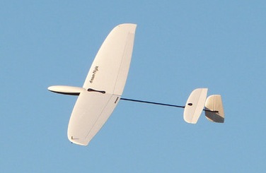 Dream Flight Libelle DLG