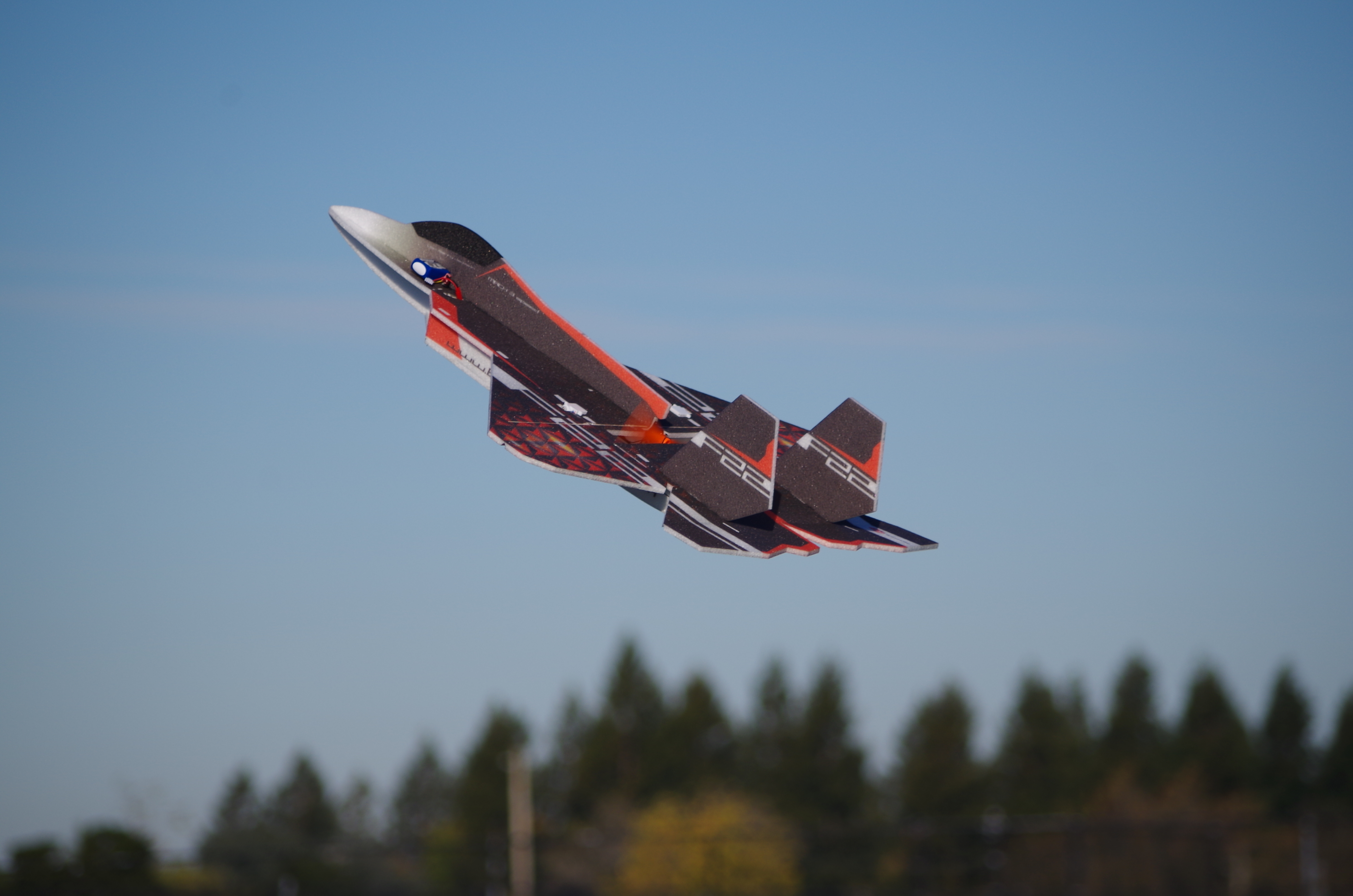 Review: Twisted Hobbys RC Factory EPP F-22 Raptor Pusher Jet - Fly RC ...